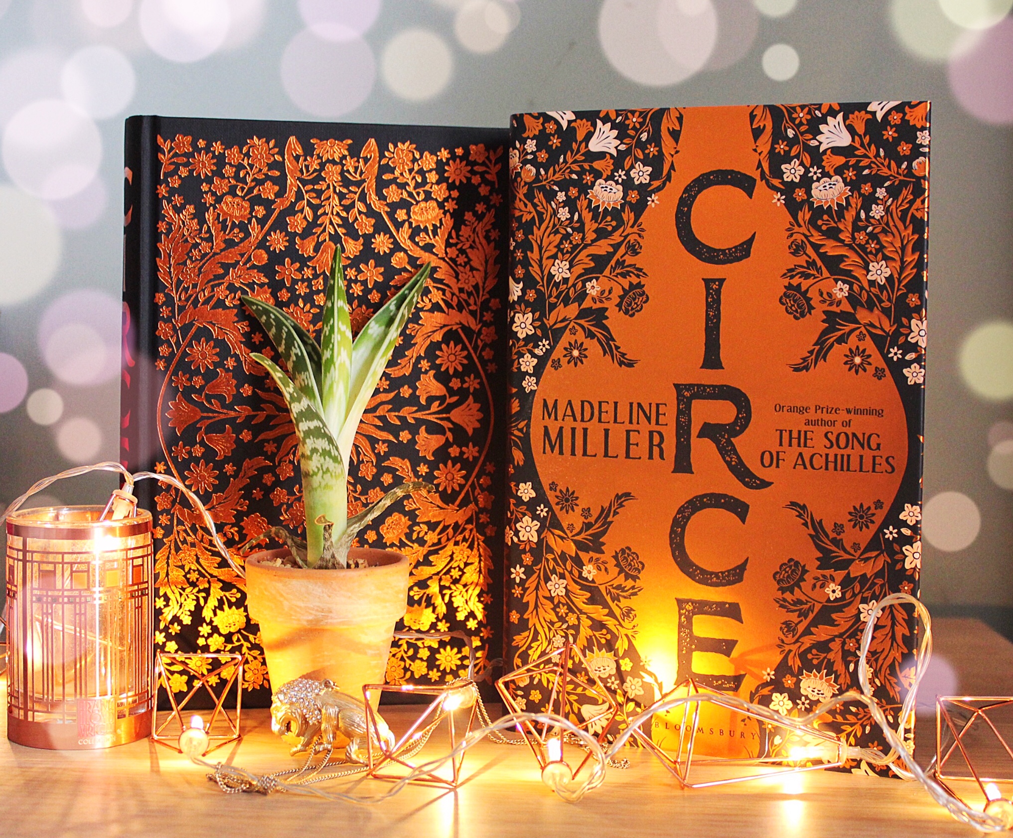 Circe by Madeline Miller – Review – Life With All The Books