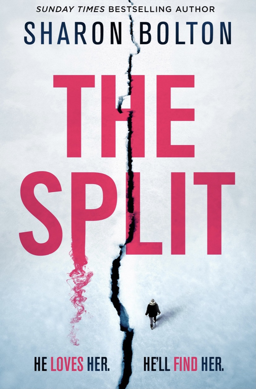 The Split by Sharon Bolton – Book Review – Life With All The Books