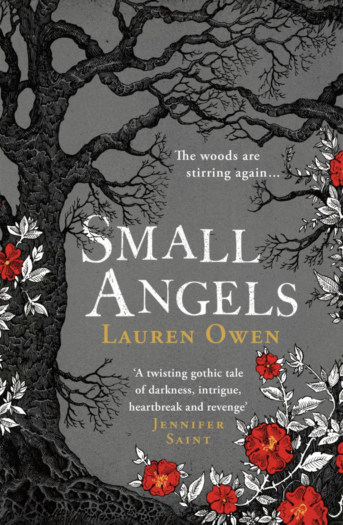 Small Angels by Lauren Owen – Blog Tour Review – Life With All The Books