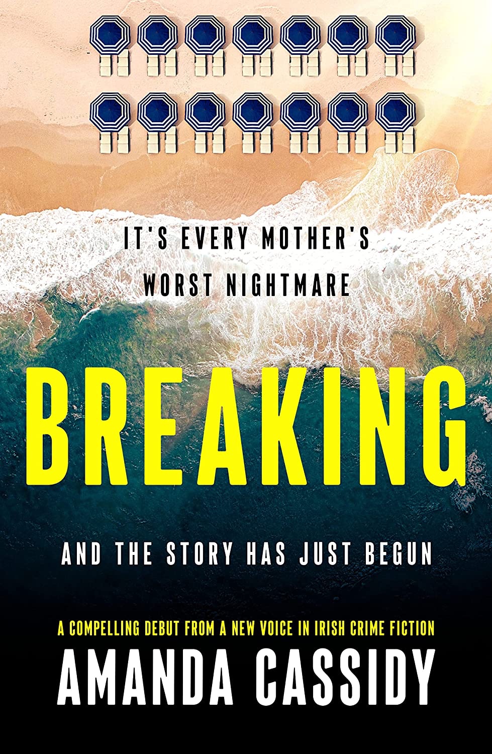 Breaking by Amanda Cassidy – Book Review – Life With All The Books