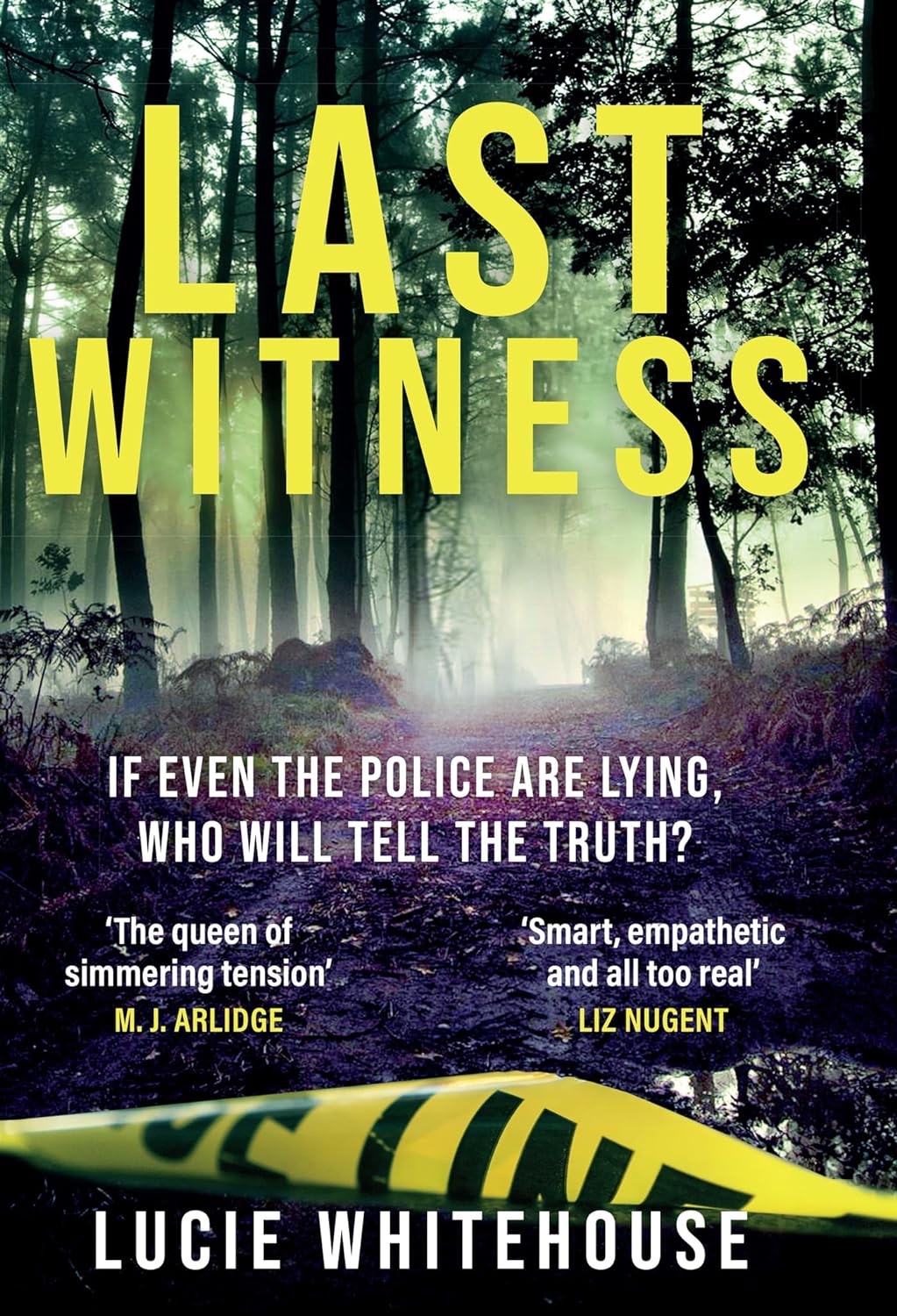 Last Witness by Lucie Whitehouse – Book Review – Life With All The Books