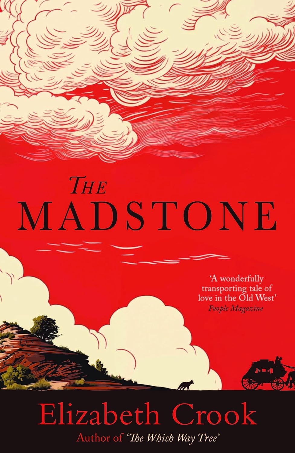The Madstone by Elizabeth Crook – Blog Tour Review – Life With All The ...