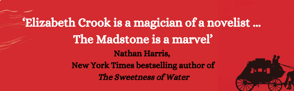 The Madstone by Elizabeth Crook – Blog Tour Review – Life With All The ...